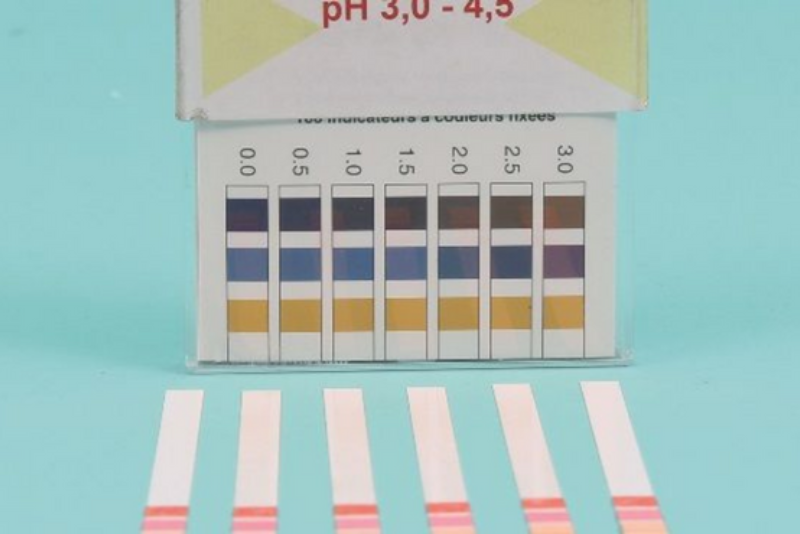 ¿Cómo leer las tiras reactivas de pH? | Royal Brinkman
