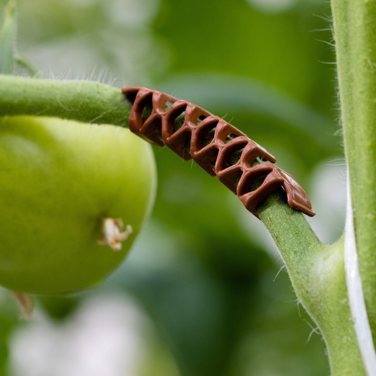 Valent Truss Support | Royal Brinkman