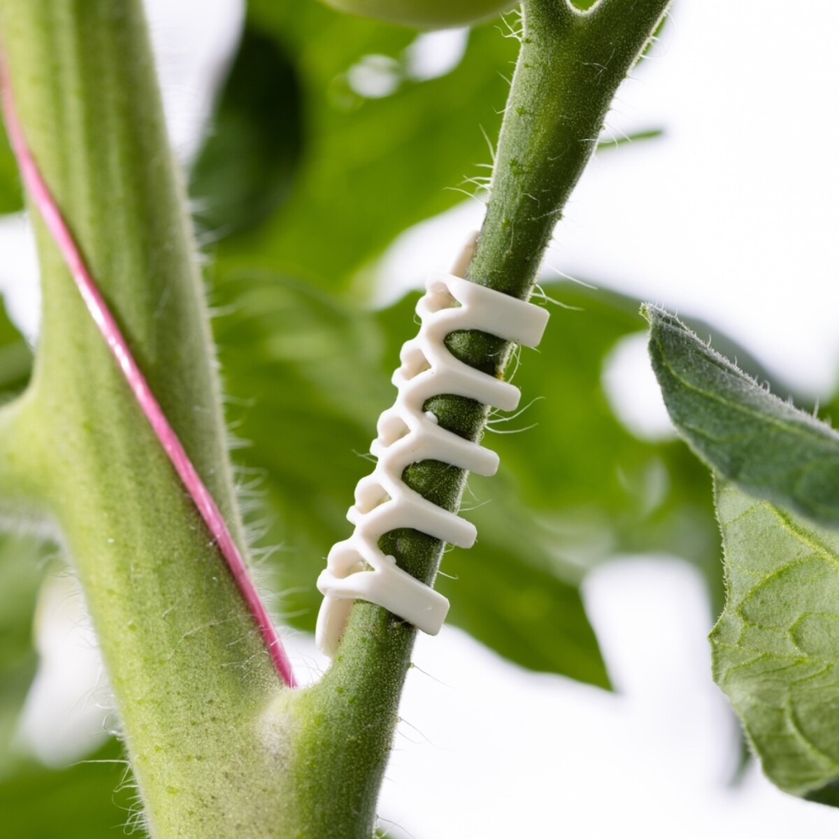 Bio Valent Truss Support | Royal Brinkman