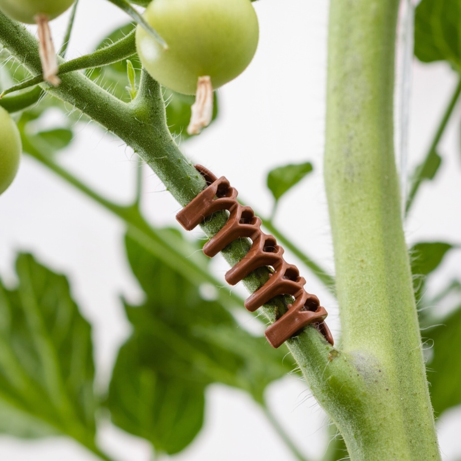 Valent Truss Support | Royal Brinkman